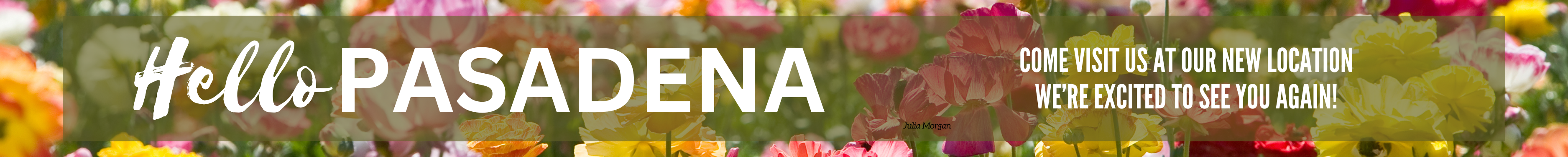 Breen's Florist - Your Pasadena TX Florist | FREE DELIVERY