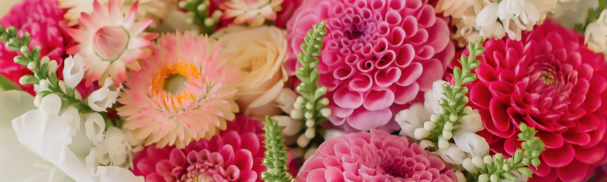 Houston Florist - Same Day Flower Delivery Houston - Breen's Florist